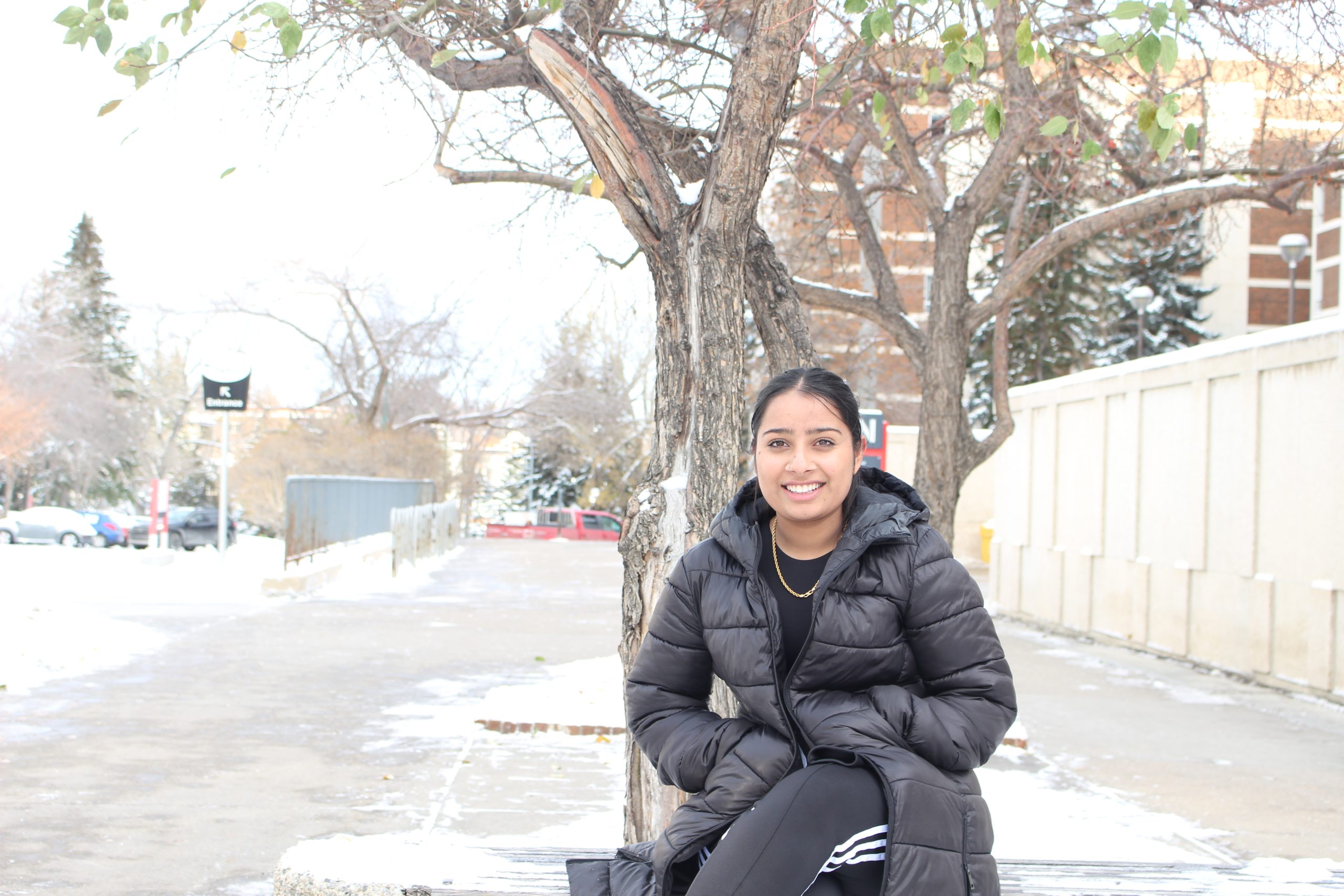 The attraction of Alberta: Why immigration is at an all-time high – The ...