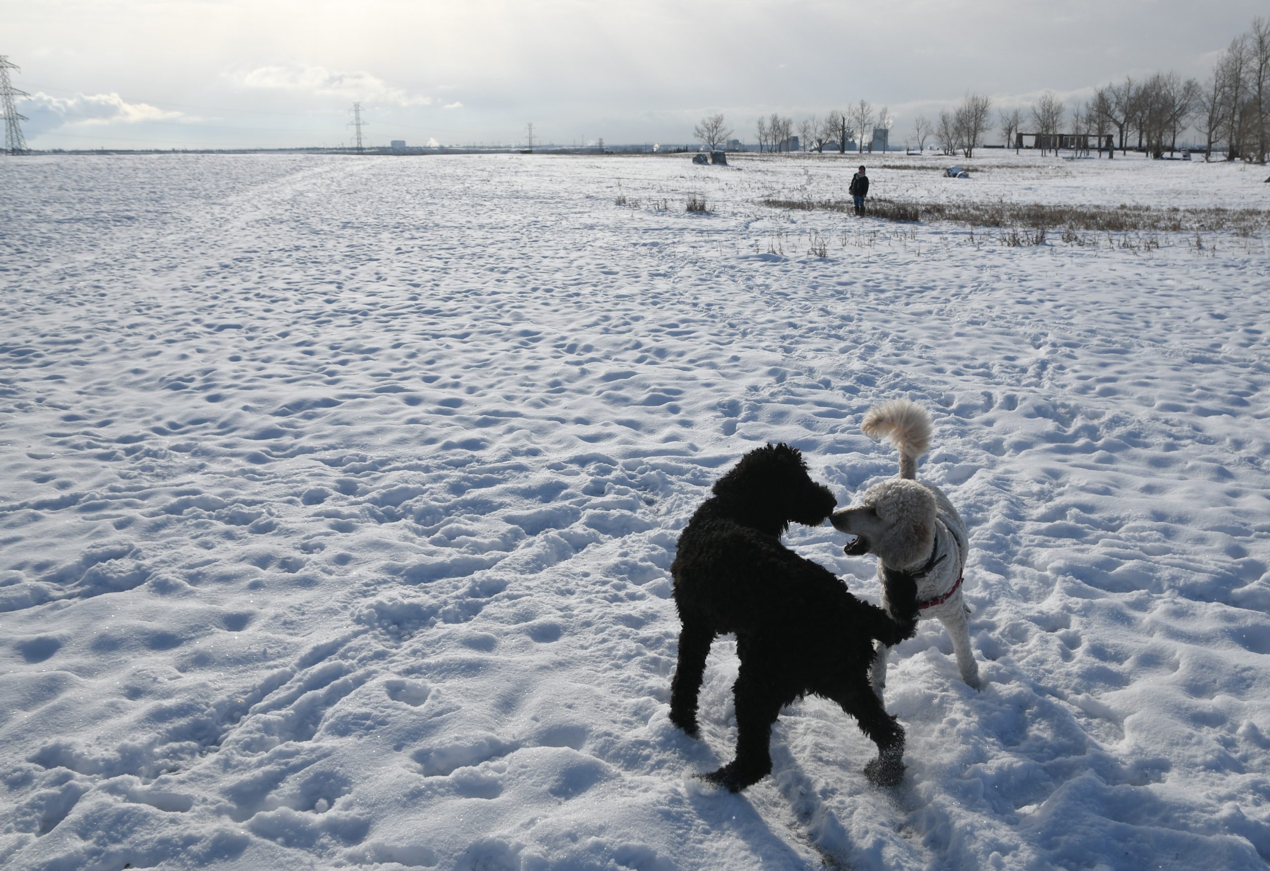 How cold is too cold? – The Press