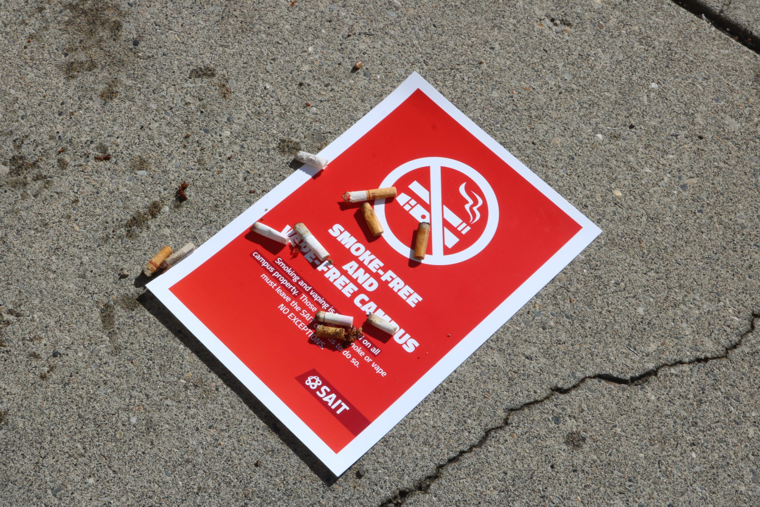 SAIT students share views on smoke-free campus policy – The Press